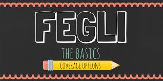 FEGLI Option B—Important to Have, or No? | Harris Federal